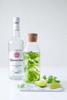 Snaps - du selv kan lave | Opskrift på hurtig hjemmelavet snaps