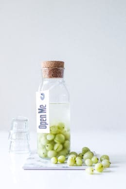 Snaps - du selv kan lave | Opskrift på hurtig hjemmelavet snaps