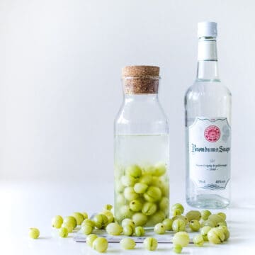 Snaps - du selv kan lave | Opskrift på hurtig hjemmelavet snaps