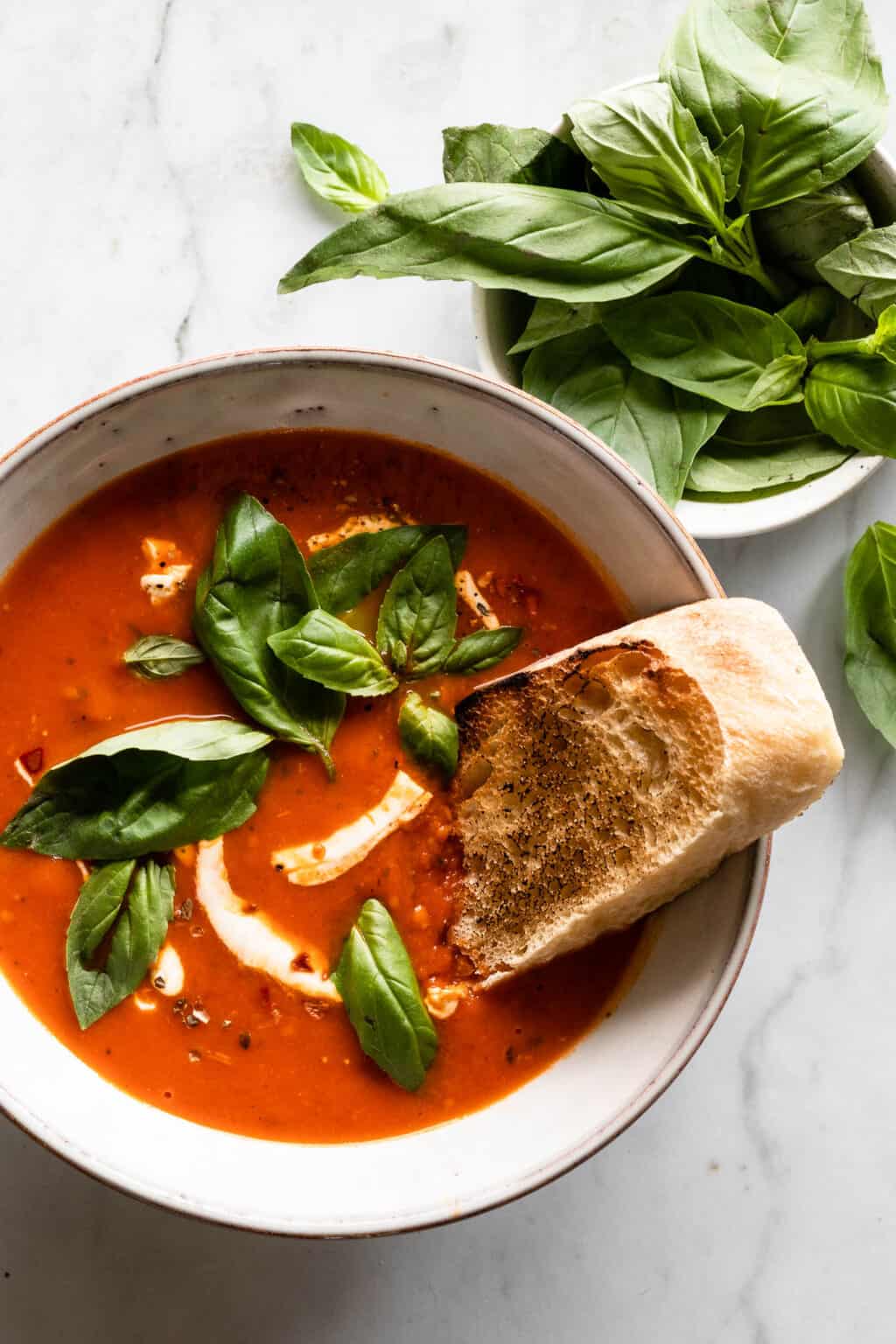 Tomatsuppe opskrift - nem, og lækker tomatsuppe med tomater